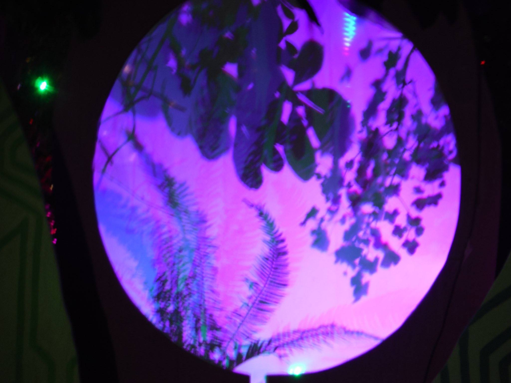 The Luminous Garden at Electric Sky, Lusio, and Arts-a-Glow - Totally Legit