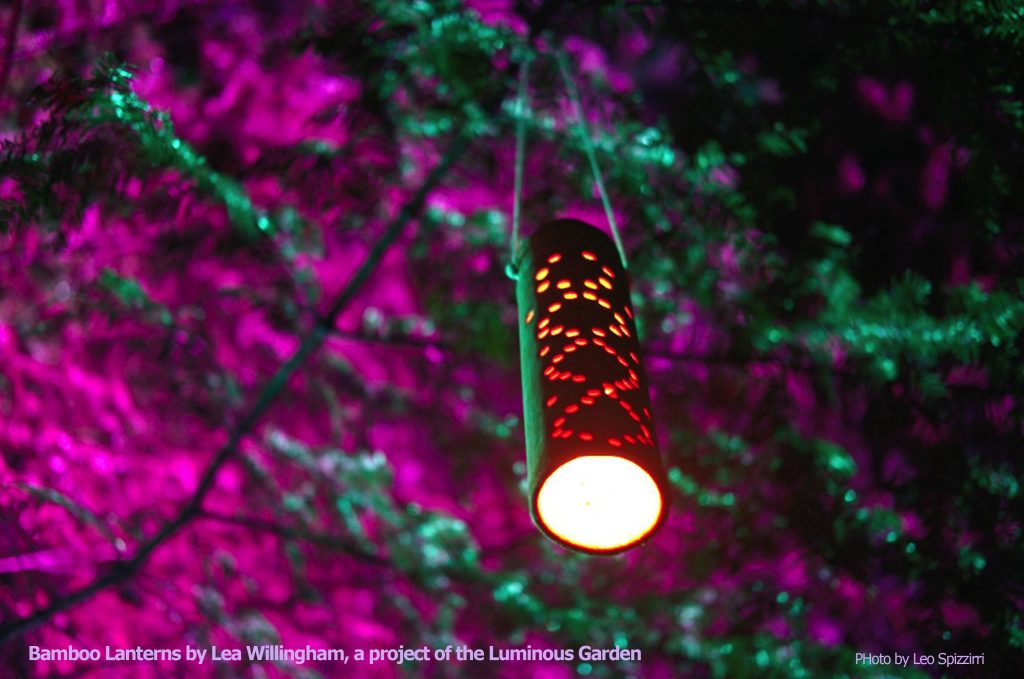 The Luminous Garden at Electric Sky, Lusio, and Arts-a-Glow - Totally Legit