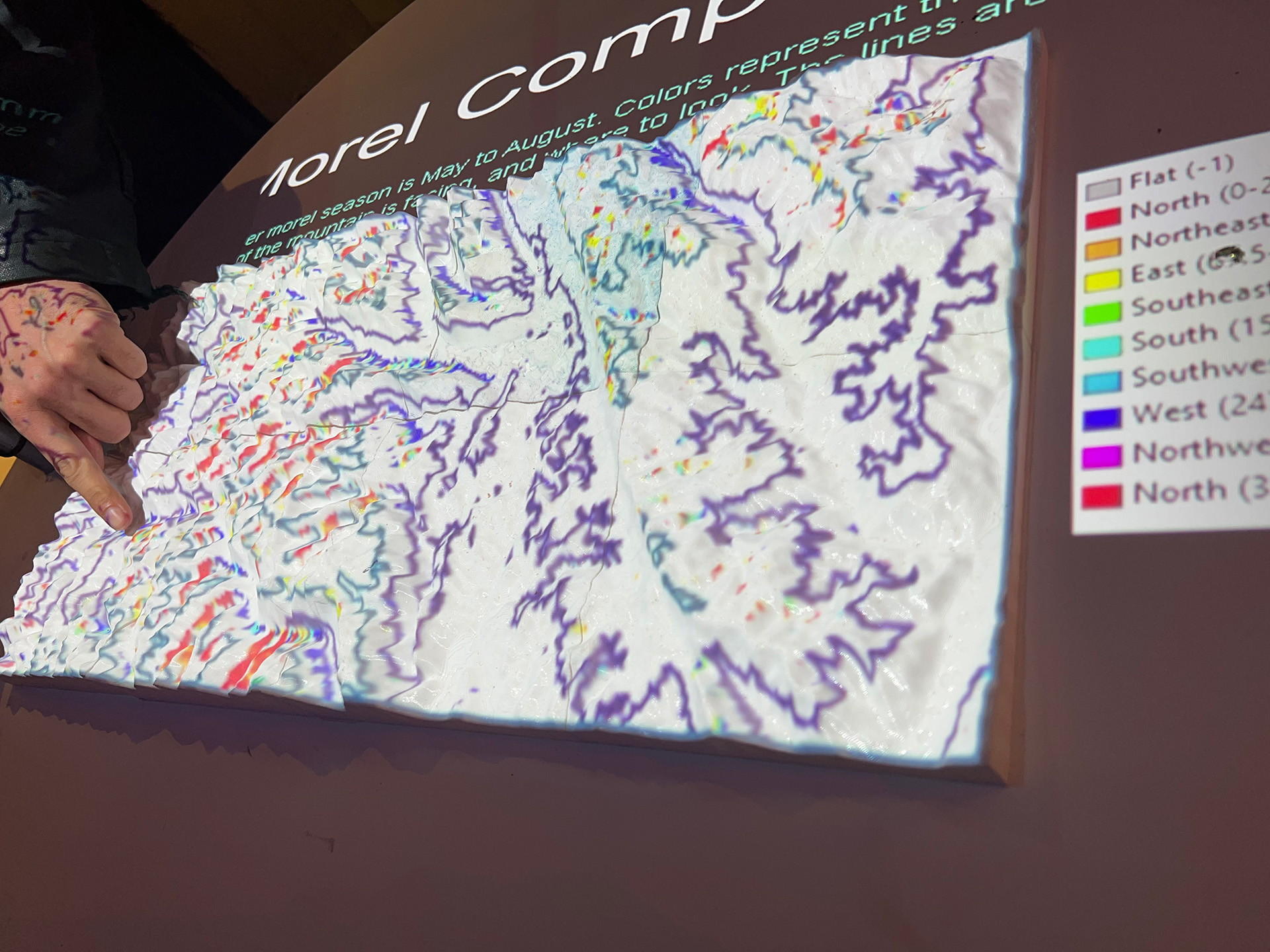 The Morel Compass - Totally Legit